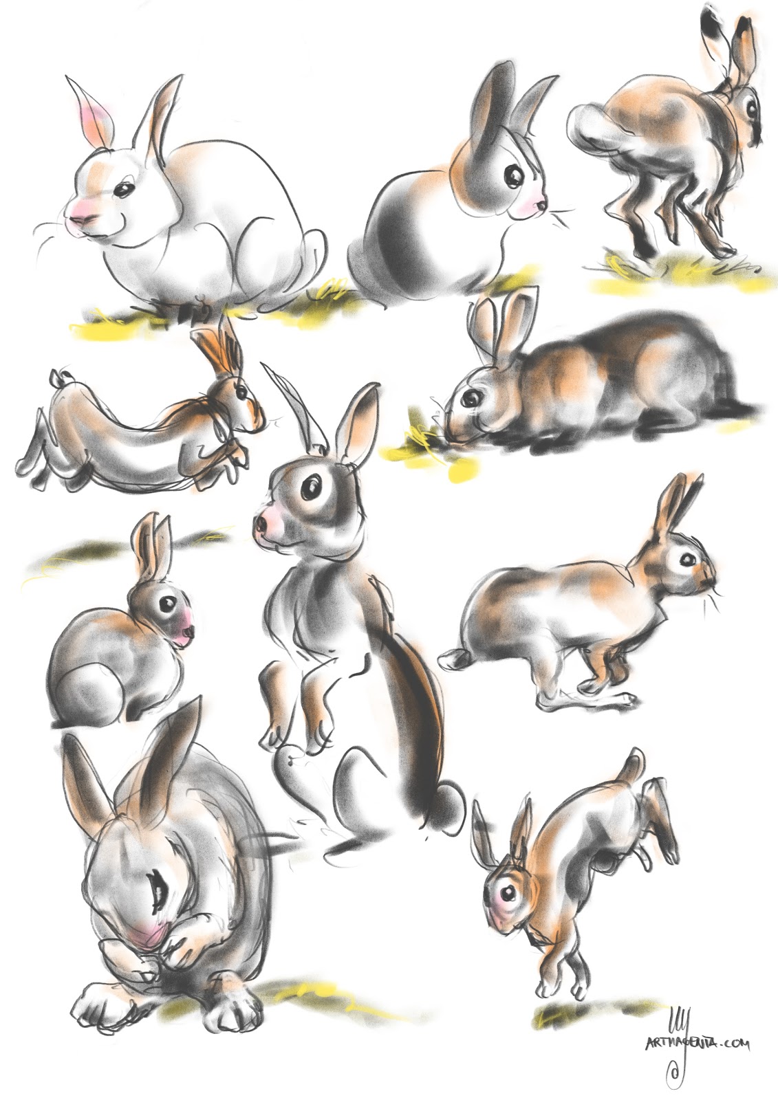 Gesture Drawings: Rabbit gestures