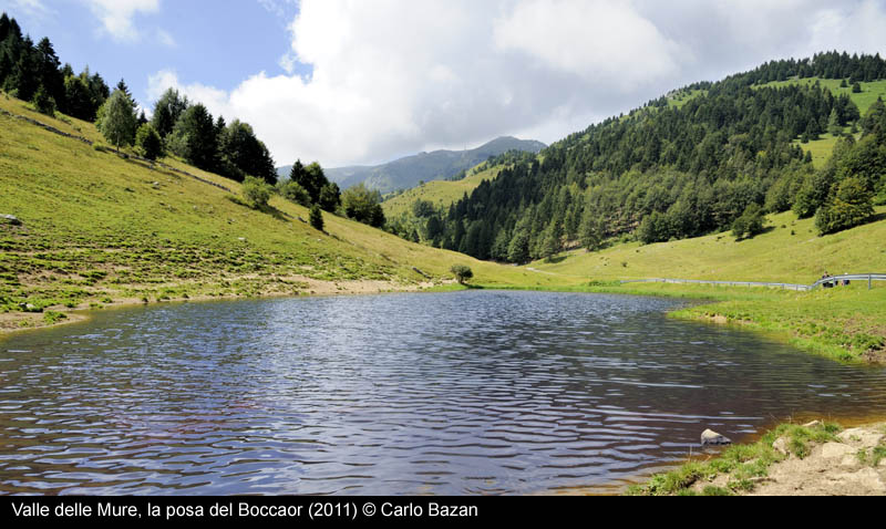 Val Calcino: Il Torrente Calcino, di Carlo Bazan