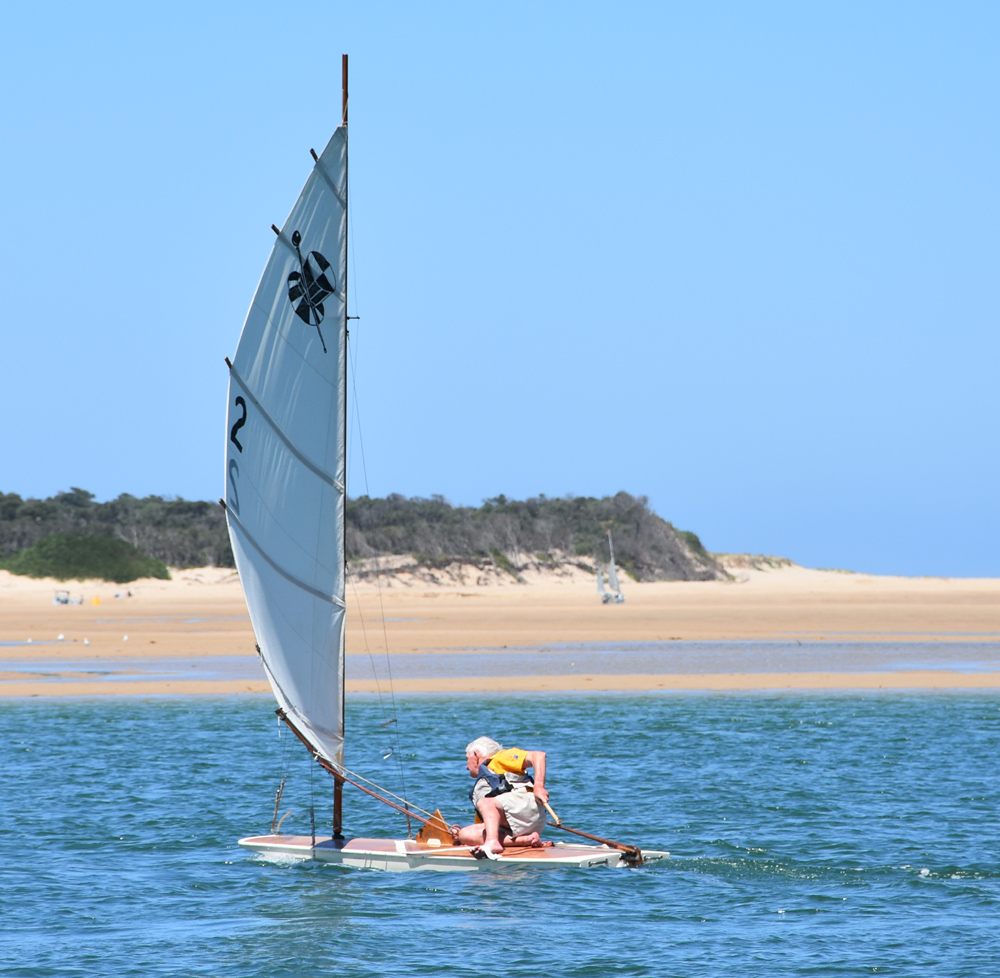 Earwigoagin: Header Photo: The Australian Sailfish; ICWDR 2019