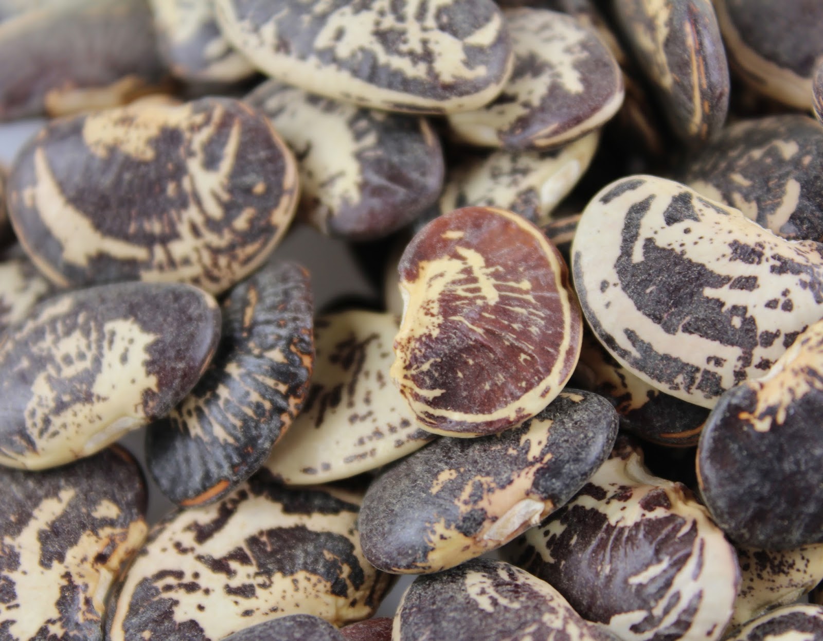 Tickety-boo Health Coaching: Food as Medicine class - beans, legumes ...