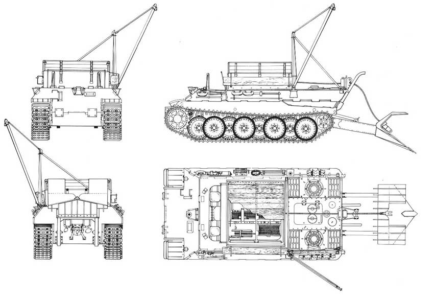 Axis Tanks and Combat Vehicles of World War II: Bergepanther
