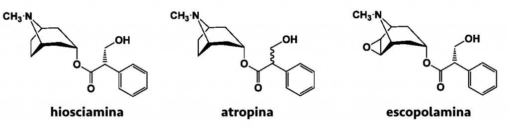 CIÊNCIAS DO AMBIENTE HUMANO: Plantas atropinicas - Parassimpatolíticos ...
