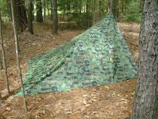 Sensible Survival: The Plow Point or Diamond Fly Tarp Set-Up