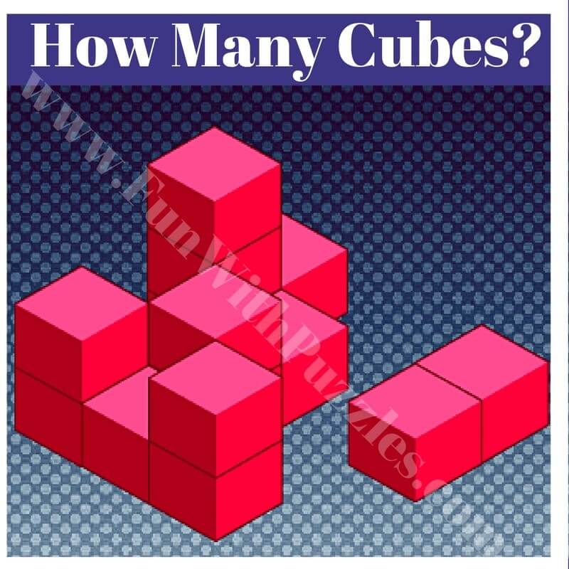 Different Puzzle Types with Pictures and Answers