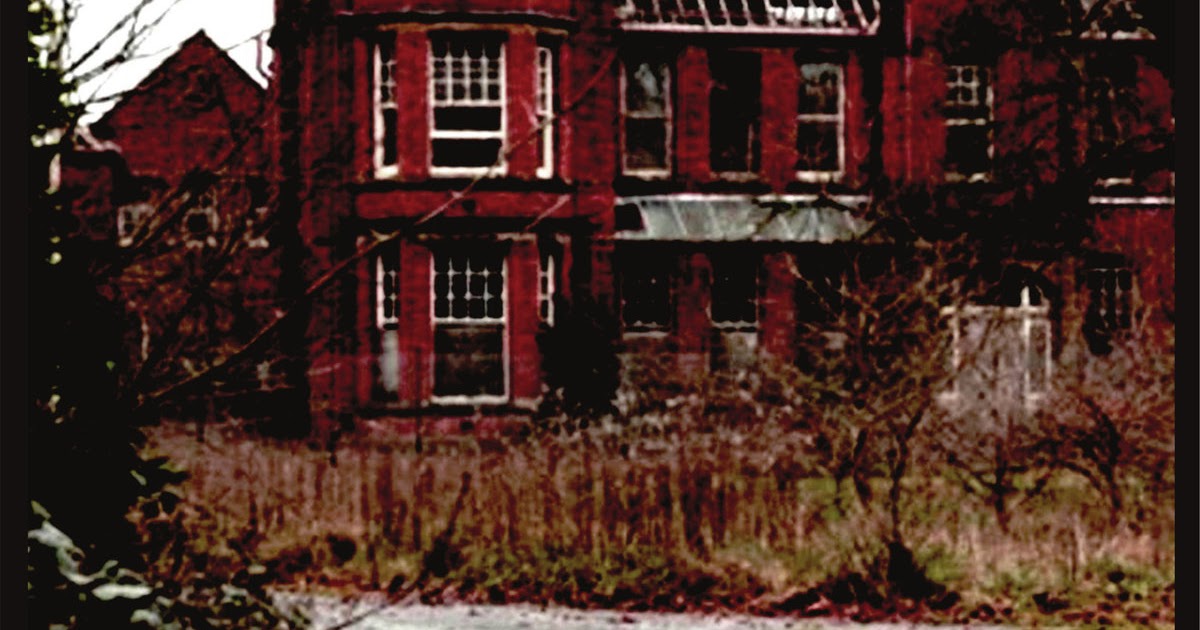 SDMJ: Shrooms Circle - Asylum (2018)