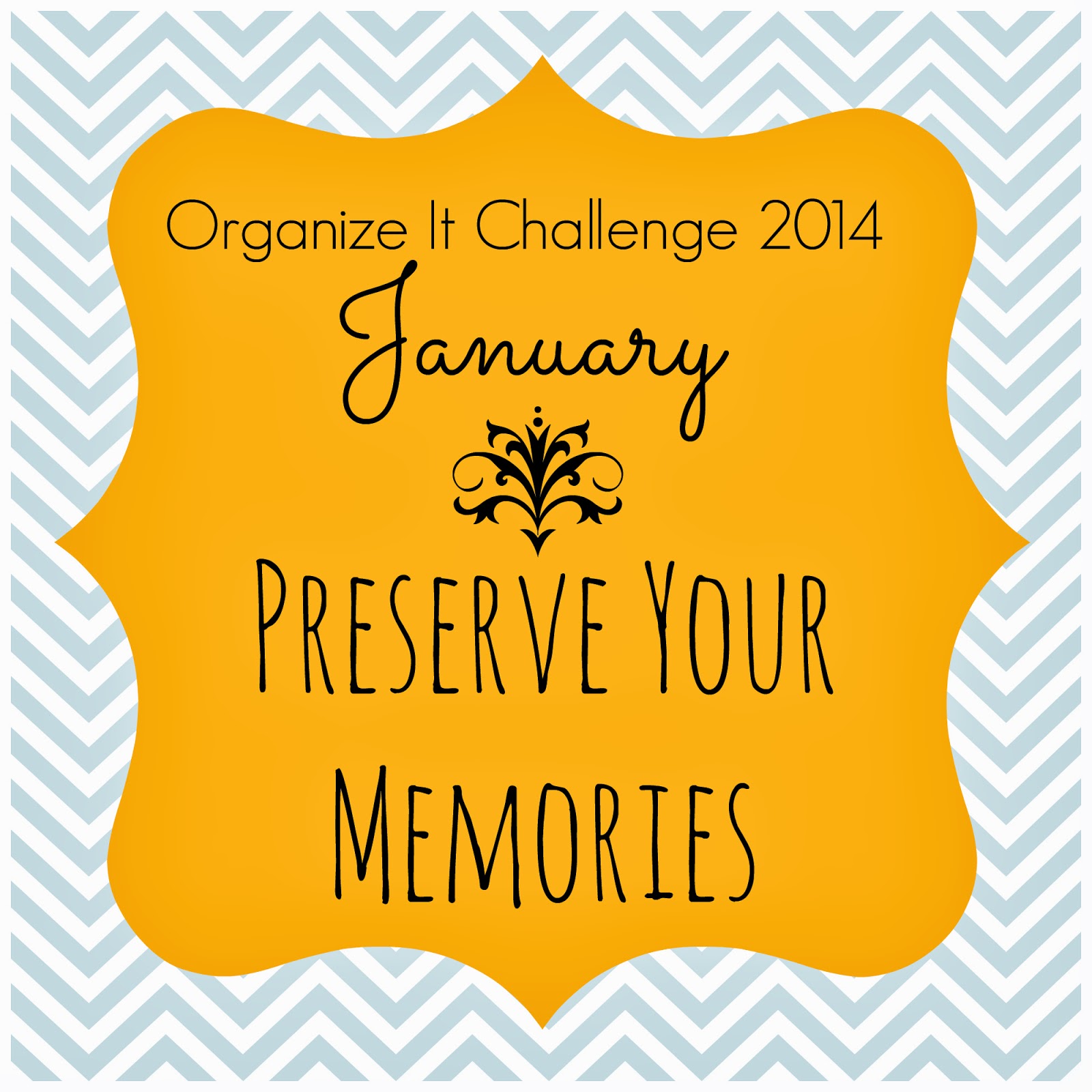Organize It Challenge: Preserve Your Memories - Theme #1