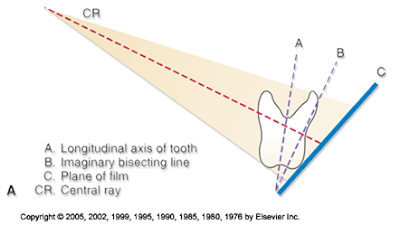 Dentistry and Medicine: Intraoral Radiographic Techniques (The ...