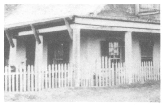 Christina Fajardo's Blog