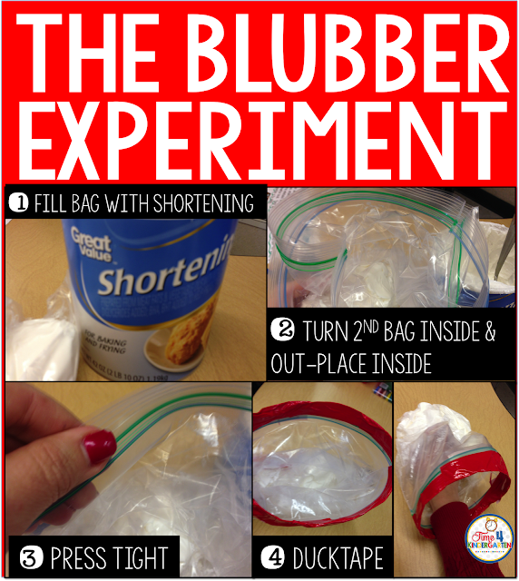 Arctic Wonders: Unveiling the Marvels of Polar Bears | Time 4 Kindergarten