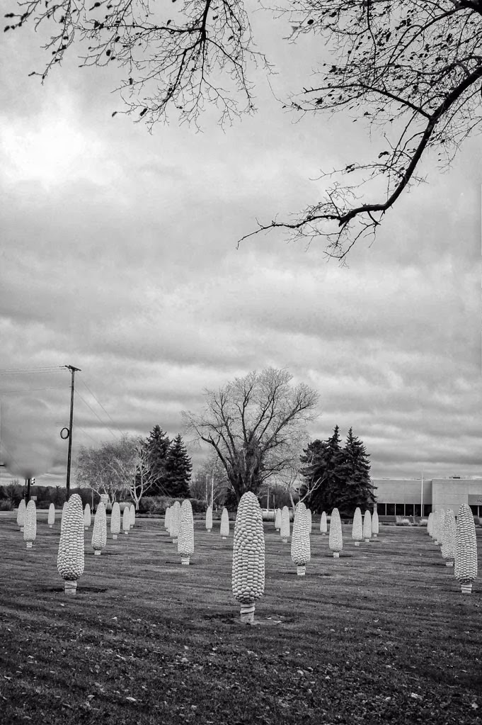 Visual Ohio: Cornhenge