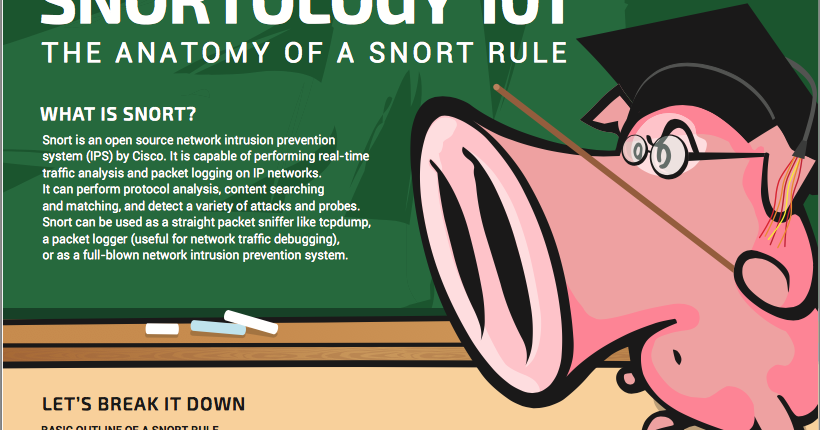 Snort Blog: Snort Rules Infographic now available!