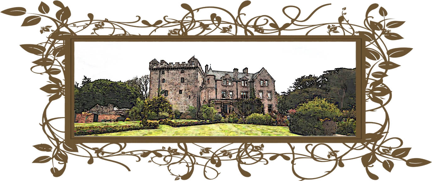 Wendy's 3-D Cats: TUXY TUESDAY WITH DOMINO AND MILO: VISITING OLD HAUNTS!