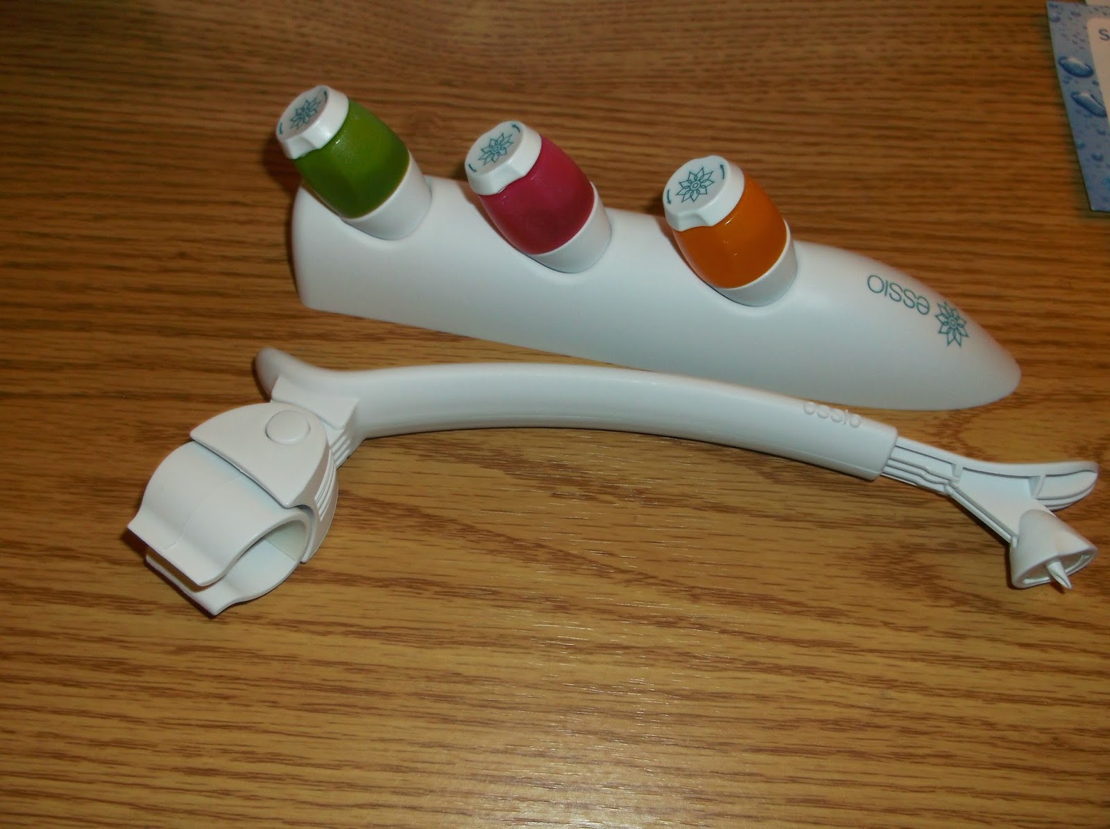 Missy's Product Reviews : Essio Aromatherapy Shower Kit