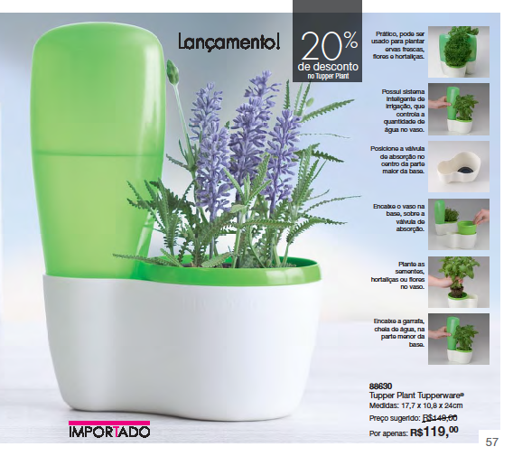 Tupperware Porto Alegre - Querência: Conheça o Tupper Plant!