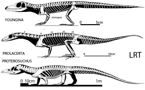 The Pondering Gulch: Et Tunc Nulla Erat VI