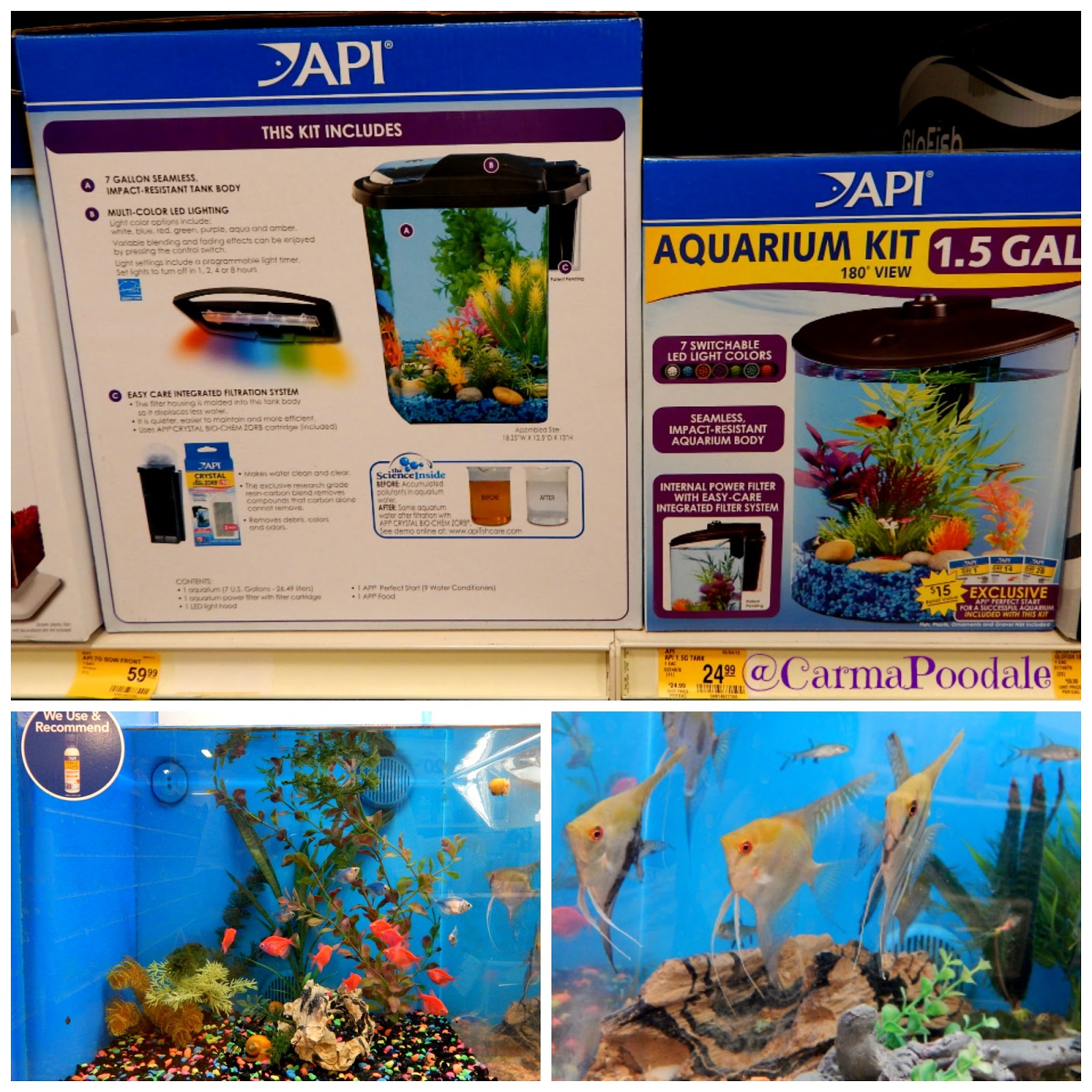 Carma Poodale : Freshwater Aquariums Can Be Easy With #APIFish Products ...