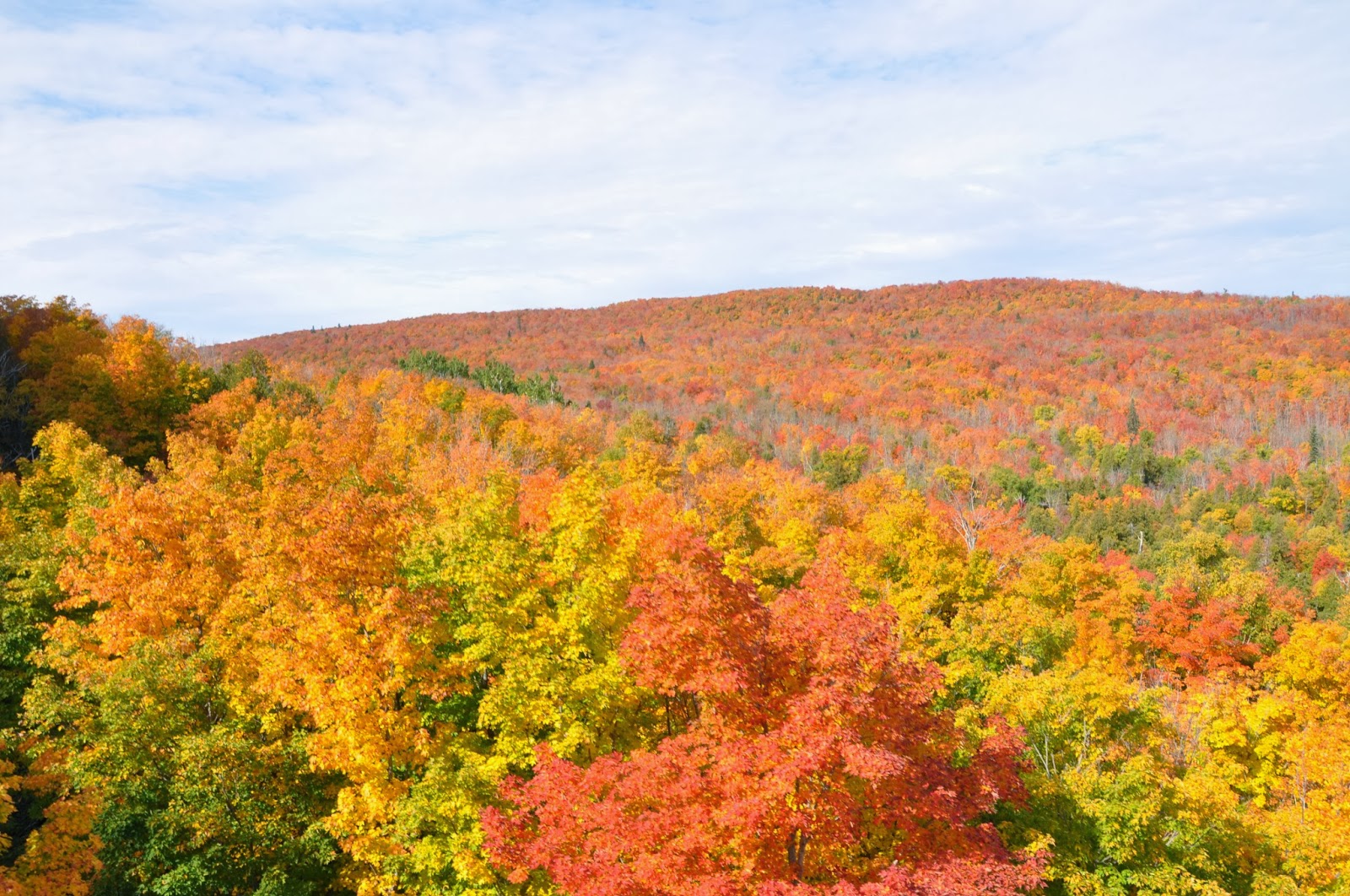 Orbis Catholicus Secundus: Lutsen Fall Colors on Lake Superior