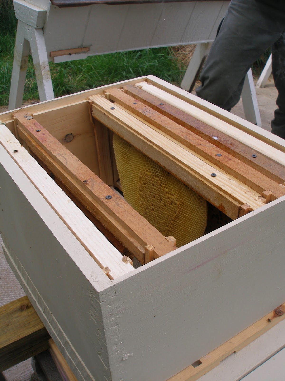 Thy Hand Hath Provided: Our First Langstroth Hive