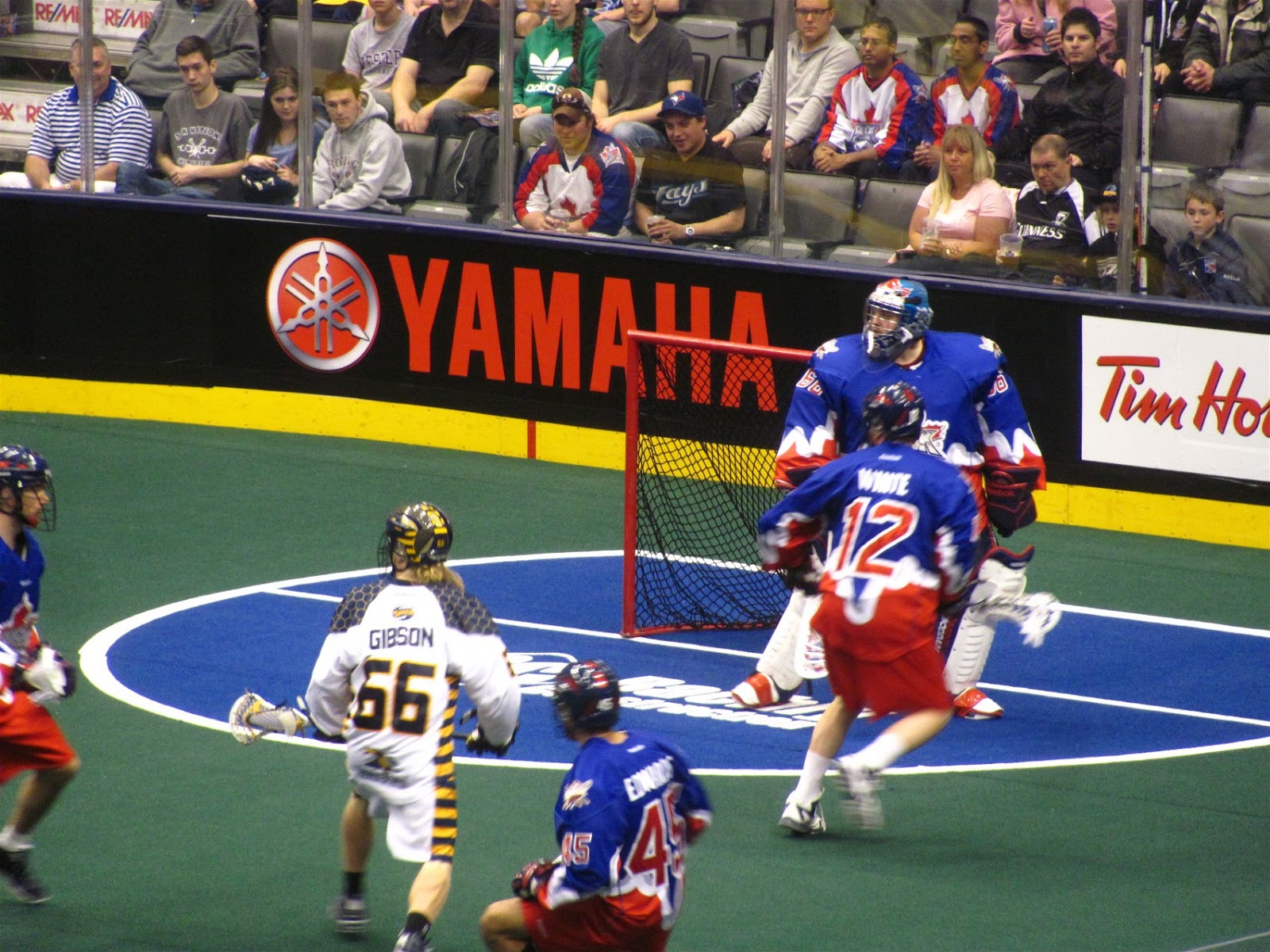 The World of Gord: Minnesota Swarm Cancels Rocks Party