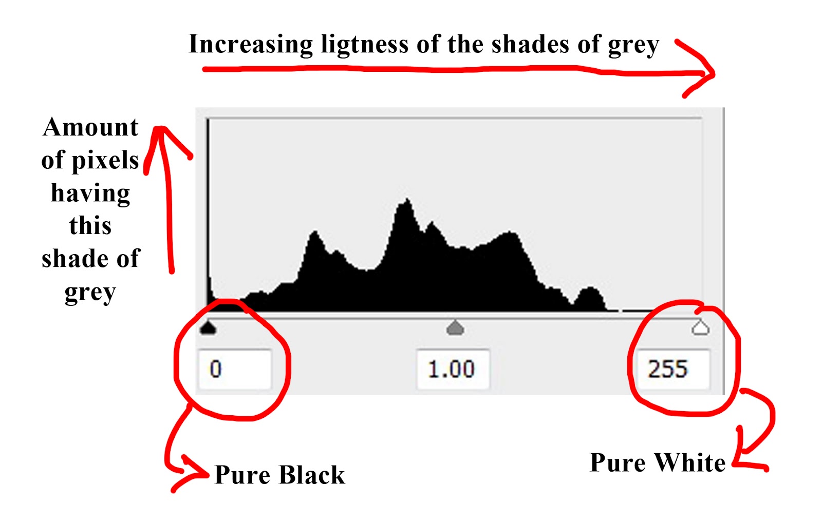 Dynamic Range ~ Dallas Goh Photography