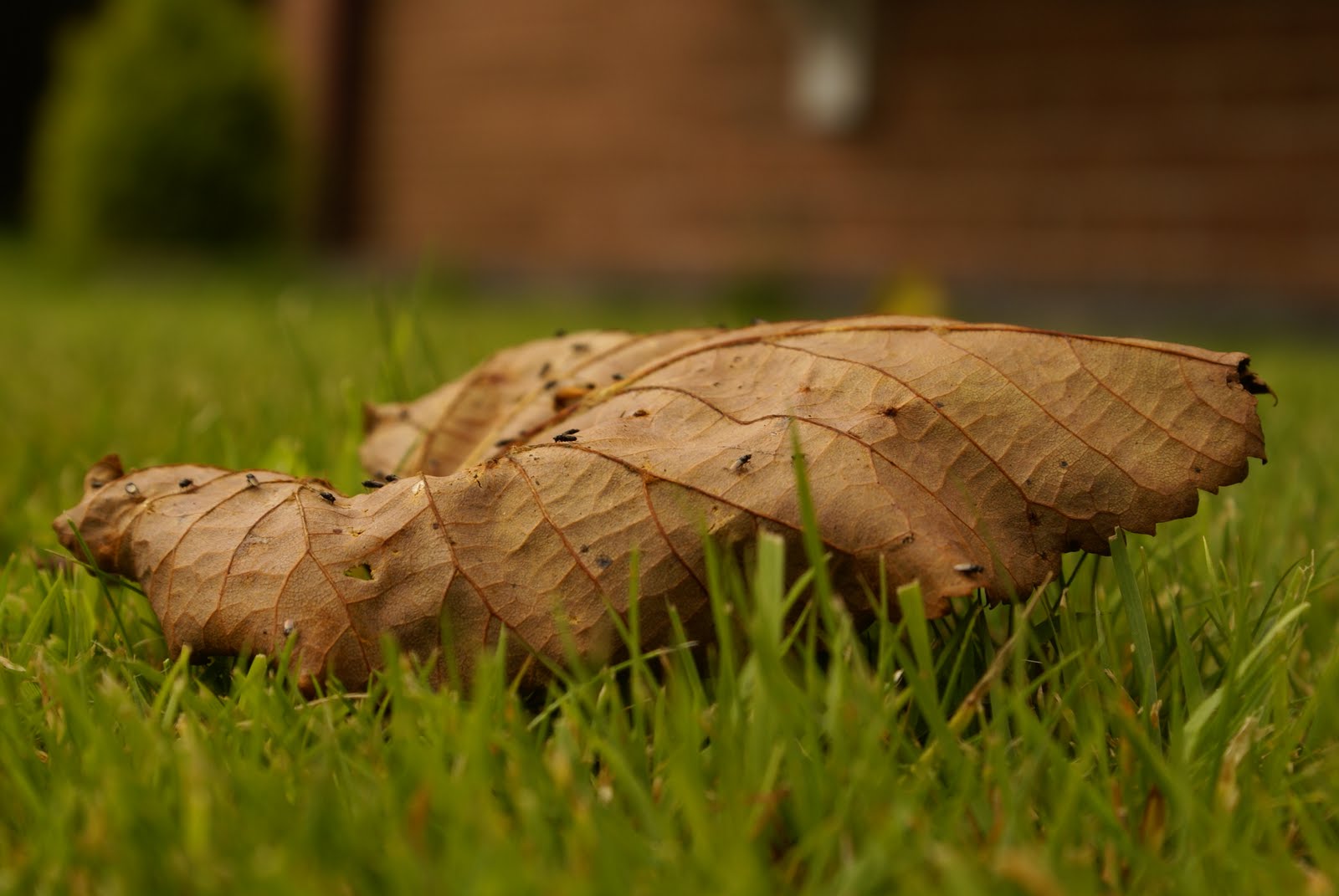 George Taylor Photography: Photo's Taken Based On A Photographer