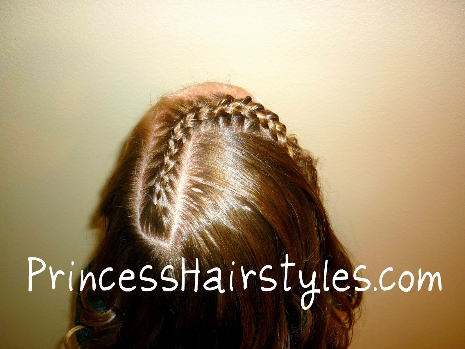 Princess Hairstyles Braids