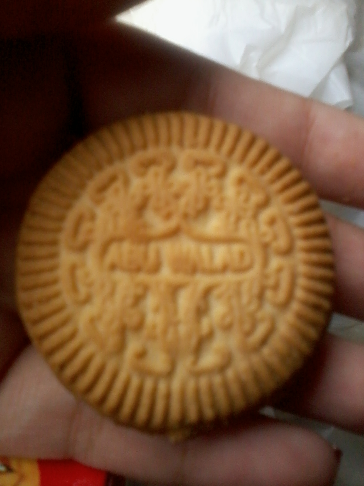 Exciting Holidays: Abu Walad Sandwich Biscuits