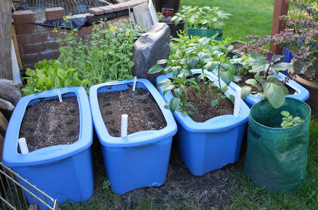 The Shade Gardener: How to make Sub-Irrigation Planters (SIPs)