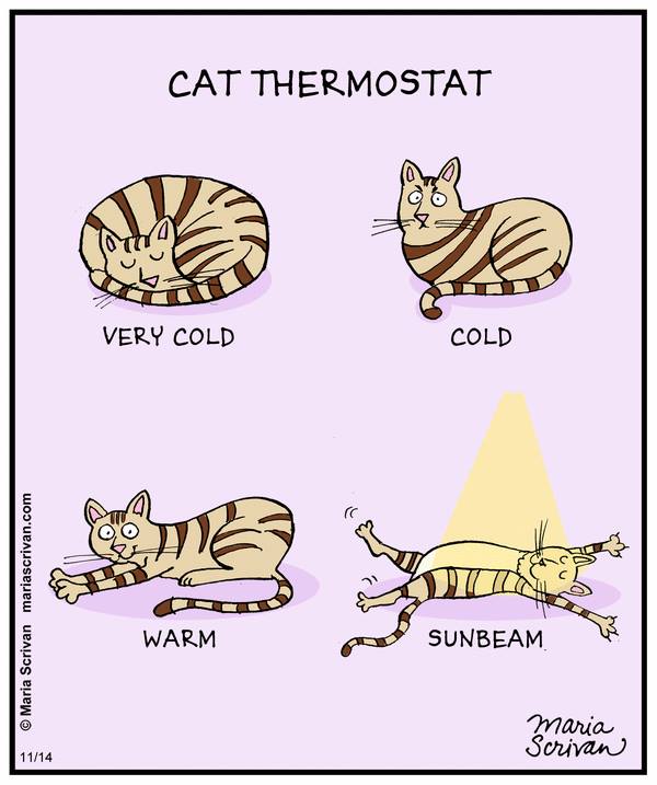 Mystery Fanfare: Cartoon of the Day: Cat Thermostat