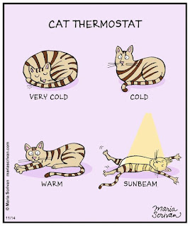 Mystery Fanfare: Cartoon of the Day: Cat Thermostat