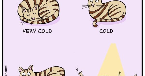 Mystery Fanfare: Cartoon of the Day: Cat Thermostat