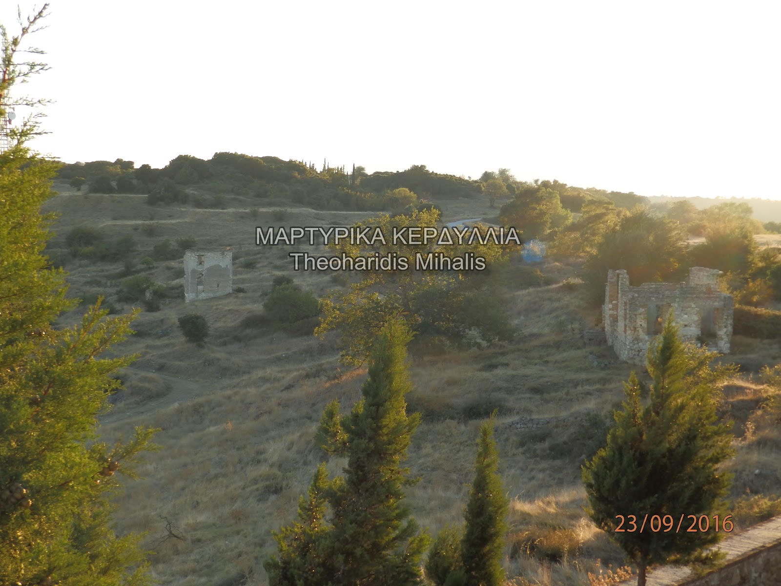 ΑΞΙΟΘΕΑΤΑ ΣΤΑ ΜΑΡΤΥΡΙΚΑ ΚΕΡΔΥΛΛΙΑ ΣΕΡΡΩΝ- Theoharidis Mihalis