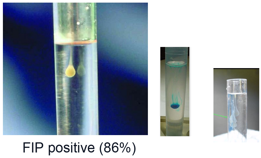 Combatiendo la PIF y otras penurias: El económico y rápido test de ...