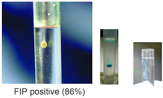 Combatiendo la PIF y otras penurias: El económico y rápido test de ...
