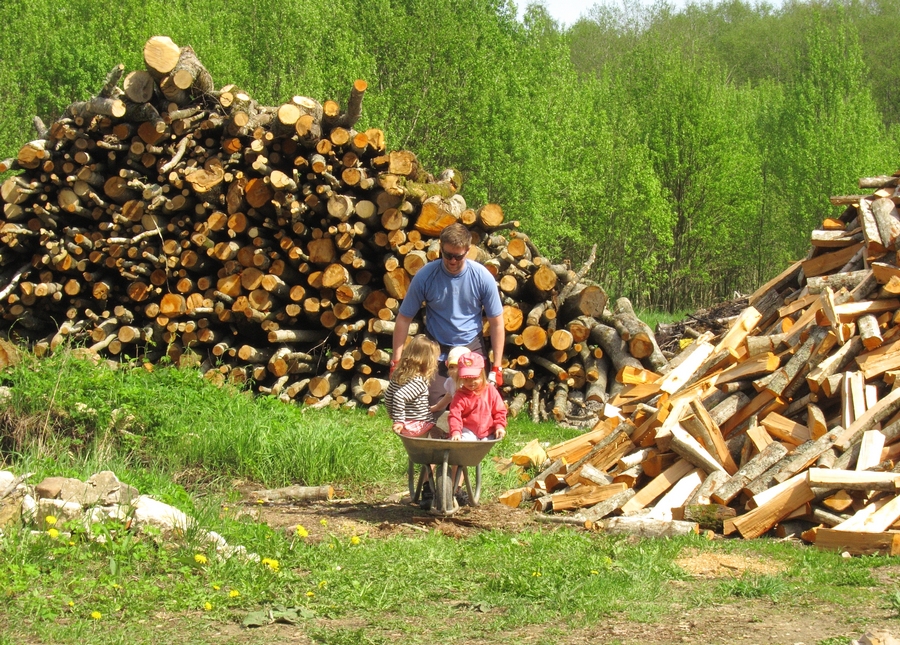 Jan Vutt fotogalerii: Puuriida ladumise talgud Põhjaka mõisas
