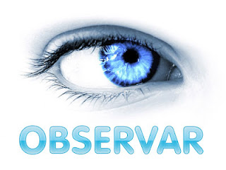 Re-evolución humana: Observar.