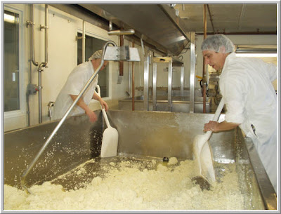 S T R A V A G A N Z A: DAIRY PRODUCTS - WHEY