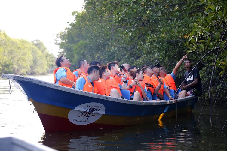HAFIZ'S CHERATING ACTIVITIES: cherating mangrove river cruise/ nature ...