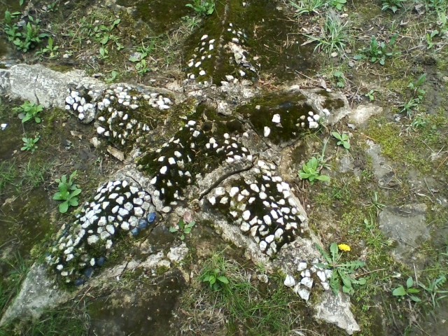 Camp Michaux: Cumberland County's secret WW2 POW camp