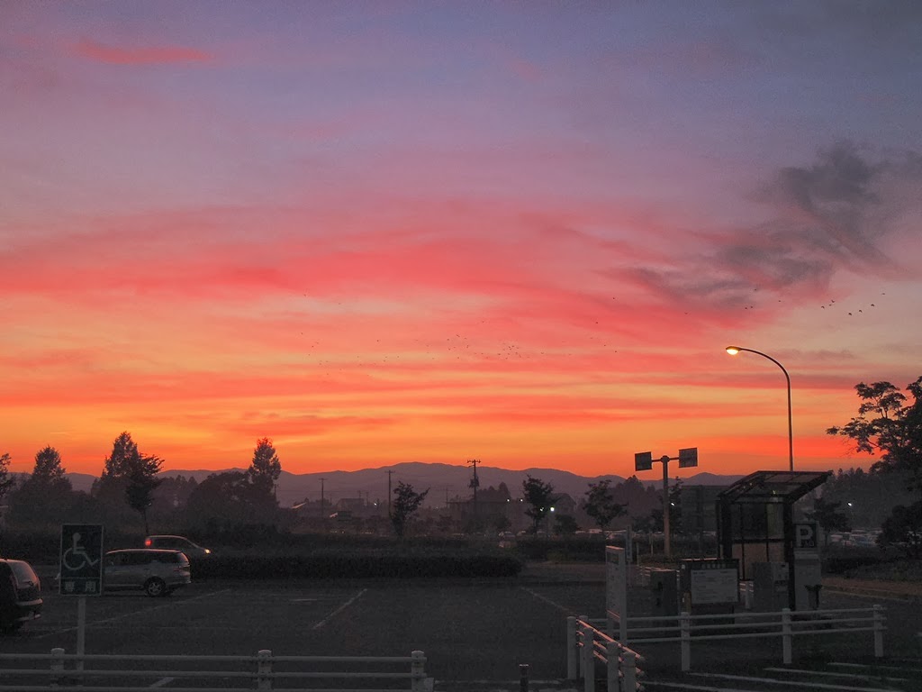 A Curmudgeon Abroad : Japan and Taiwan: Day 9 - Cycling with legends in ...