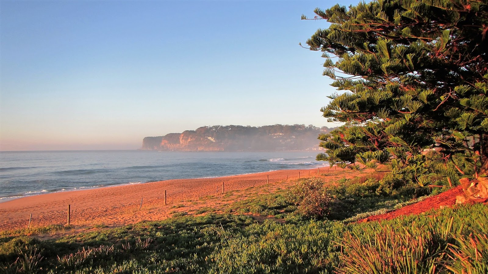 ROCK'S ADVENTURES: NORTH AVOCA, TERRIGAL LAGOON, TERRIGAL HAVEN - LOOK ...