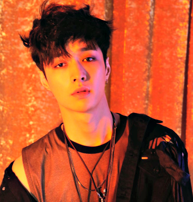 Lay de EXO participará con su canción debut en el “2016 Asia Music ...