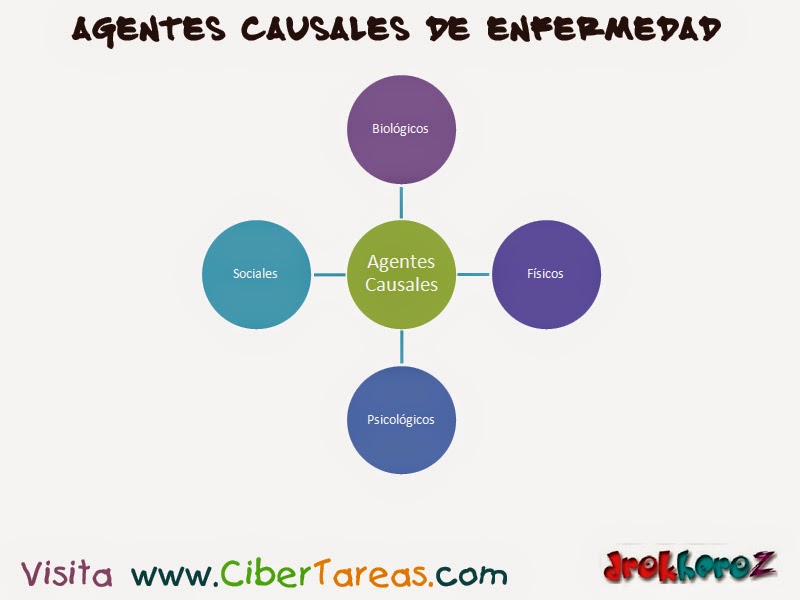 Gestión del conocimiento unidad 3 : IDENTIFICAR SEMEJANZAS - Establecer ...