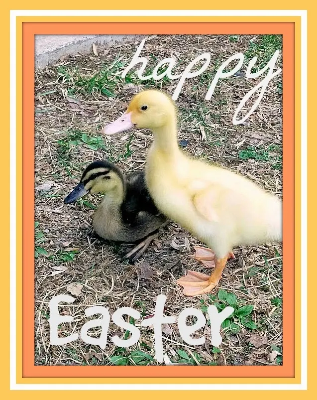 Easter Breakfast Menu and Table Setting - DIY Beautify - Creating ...