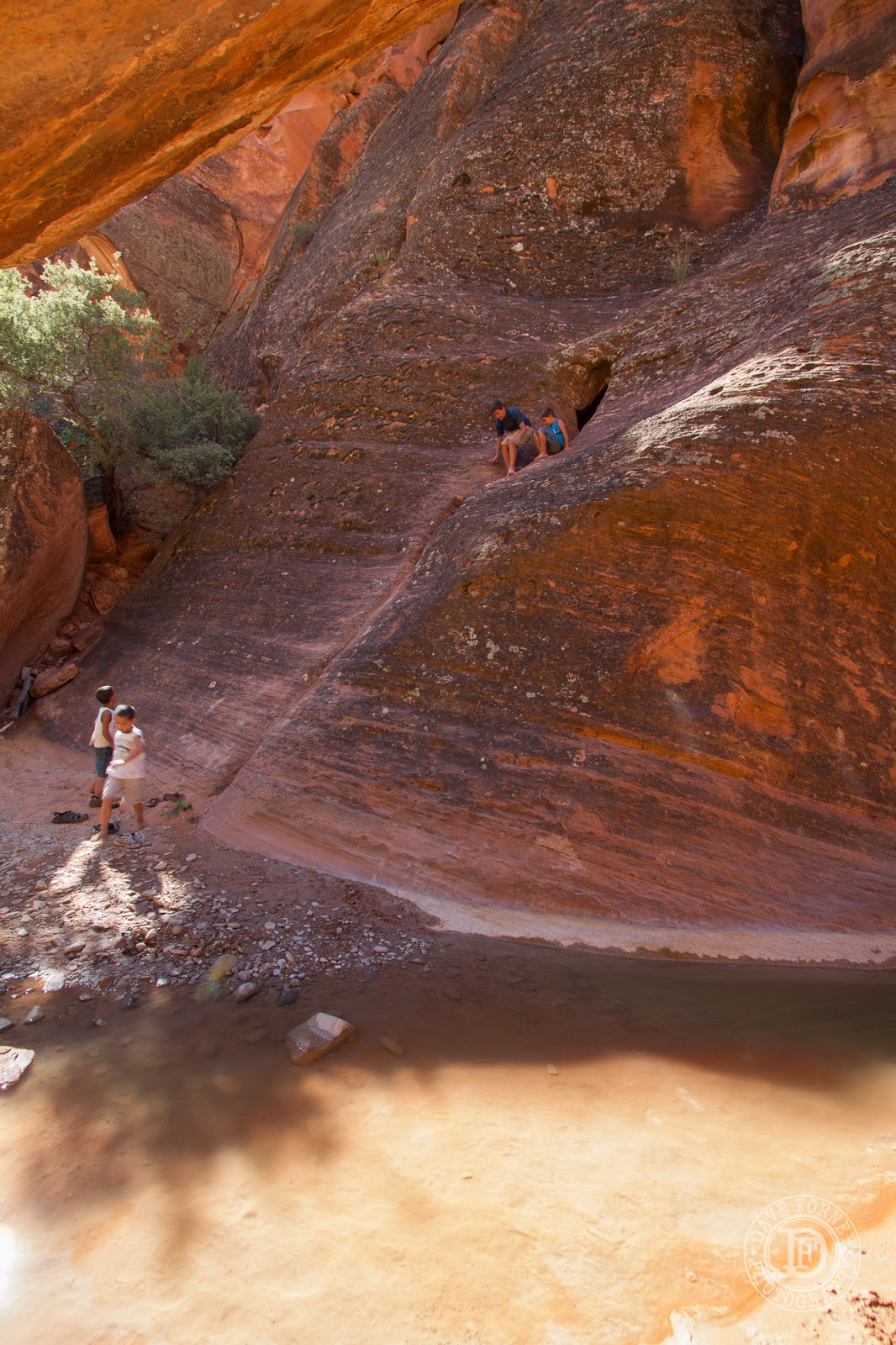 The Forney Flyer: Red Cliffs 1