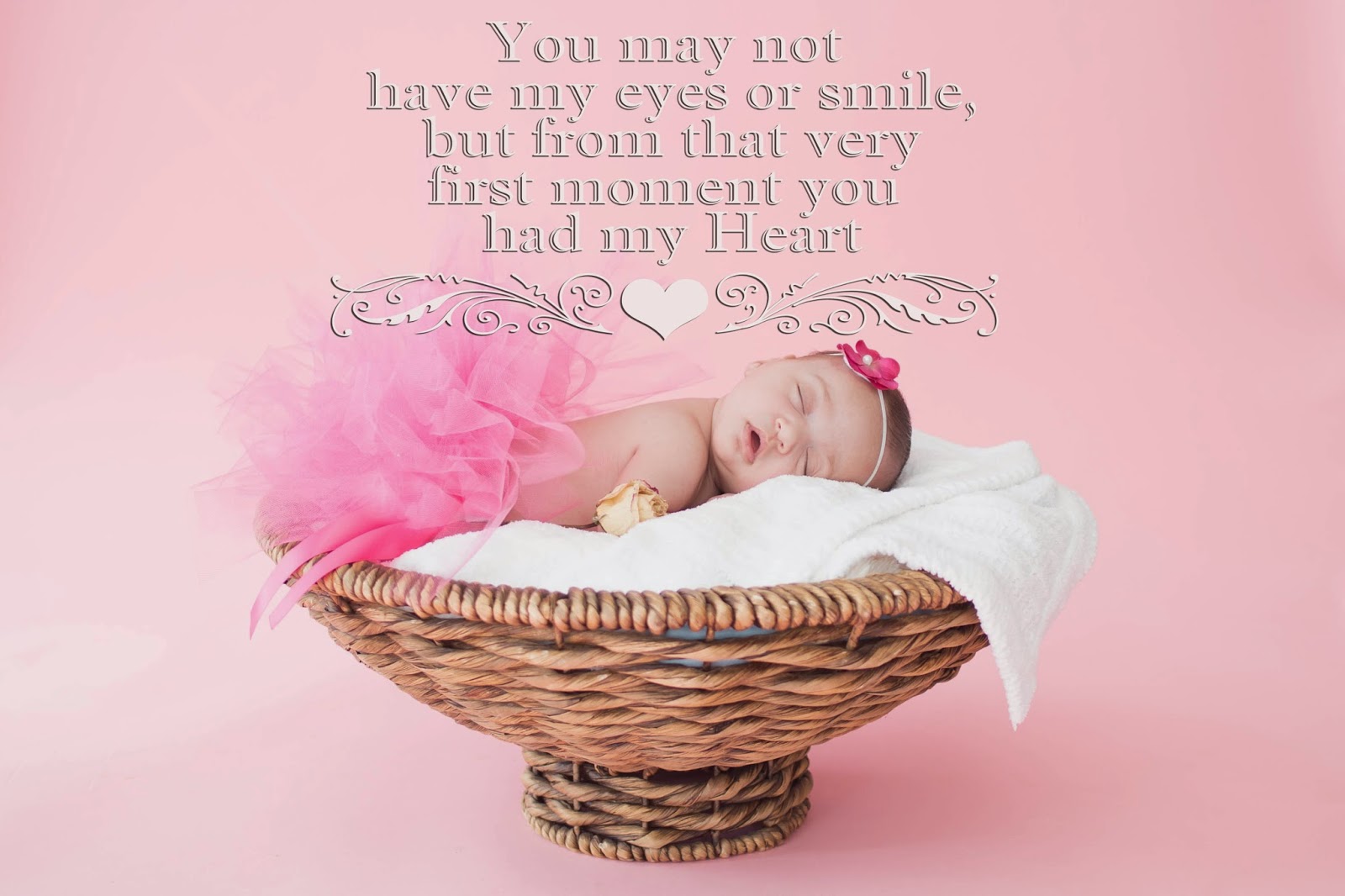 Toya Earley Photography: Welcome baby Aria