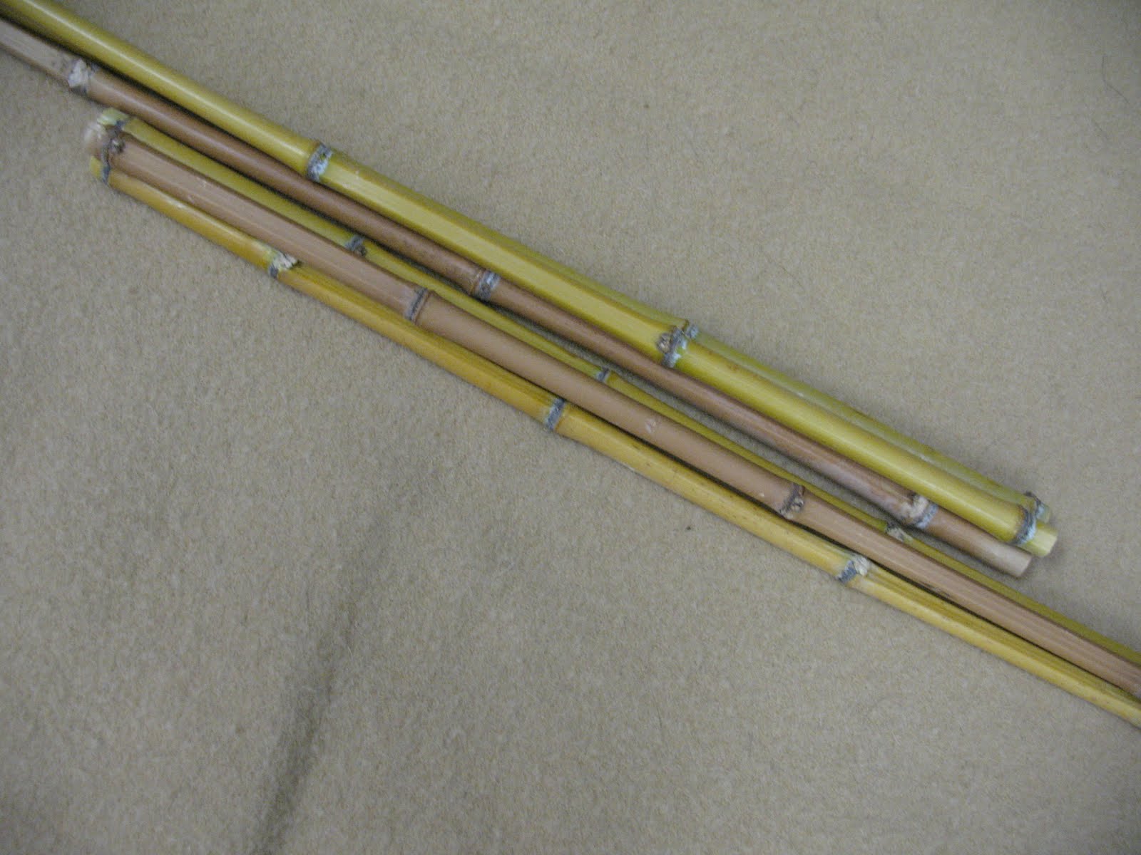 Sensible Survival: Make a Bamboo Bundle Bow