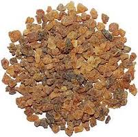 La Doctora De Las Plantas: Descubre aquí plantas de Incienso y Mirra y ...