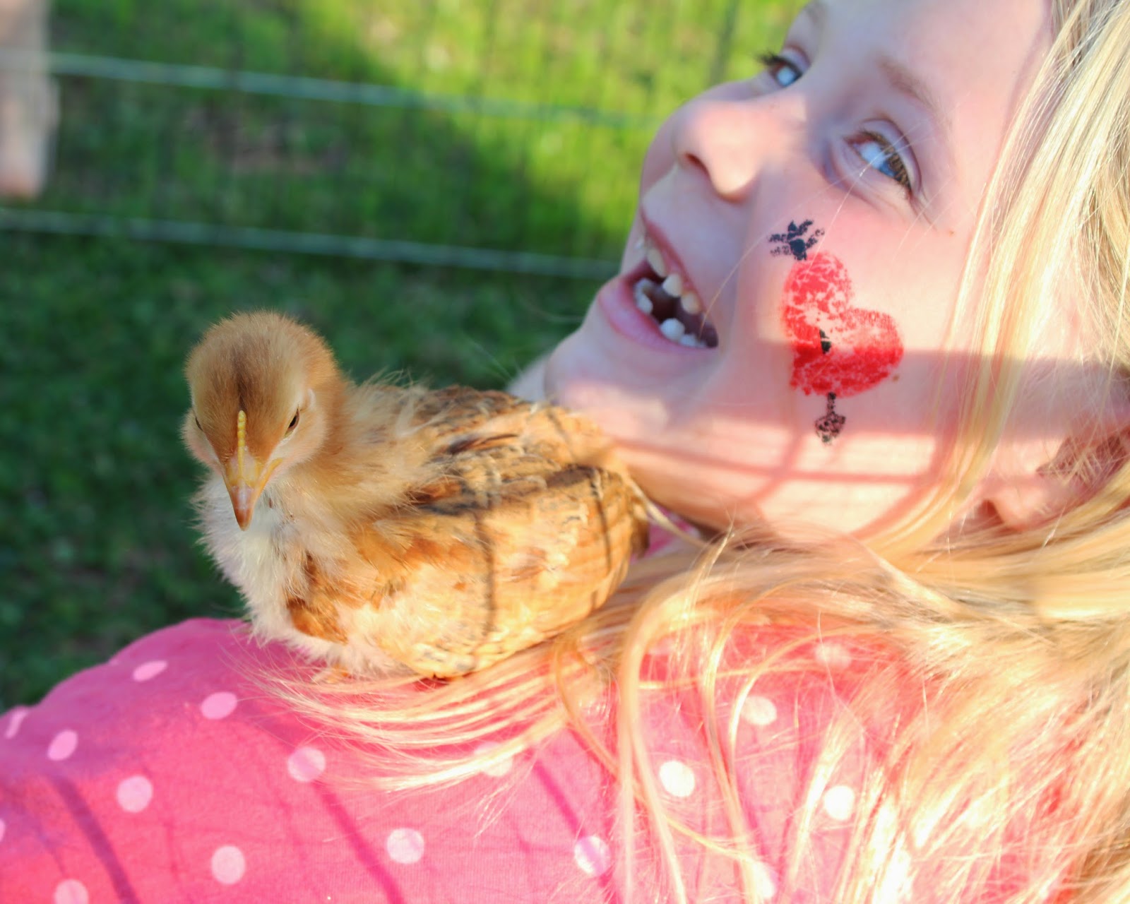 30dirtytoes: Chicken Trainers