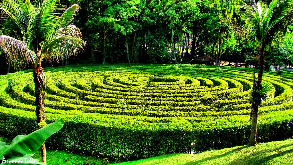 Zona Extrema Brasil: Parque da Malwee, um patrimônio público Jaraguá do ...